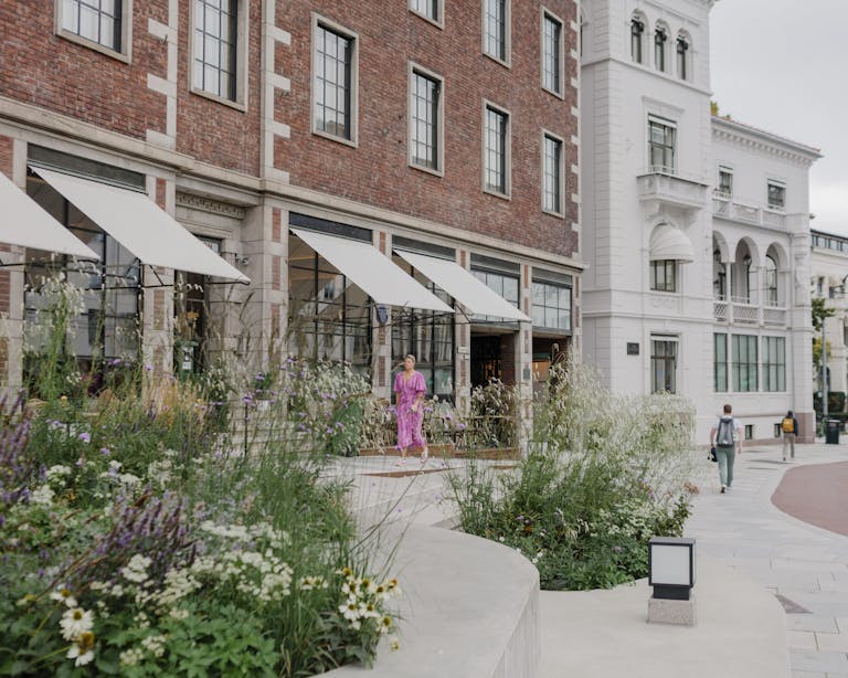 Service: Landscape architecture — SLA