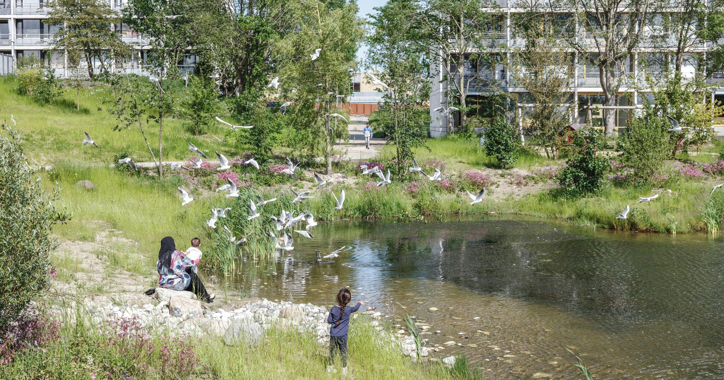 Gellerup New Nature Park — SLA