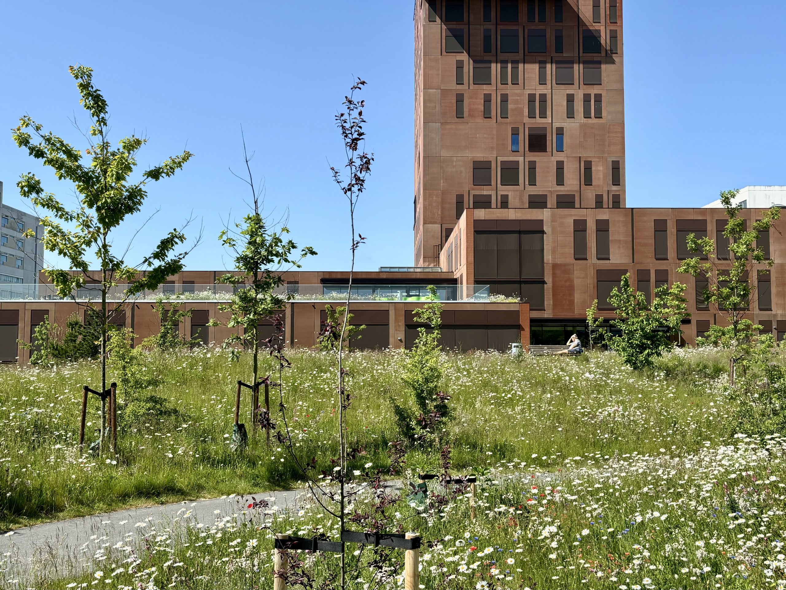 Aarhus University Hospital — Forum — SLA